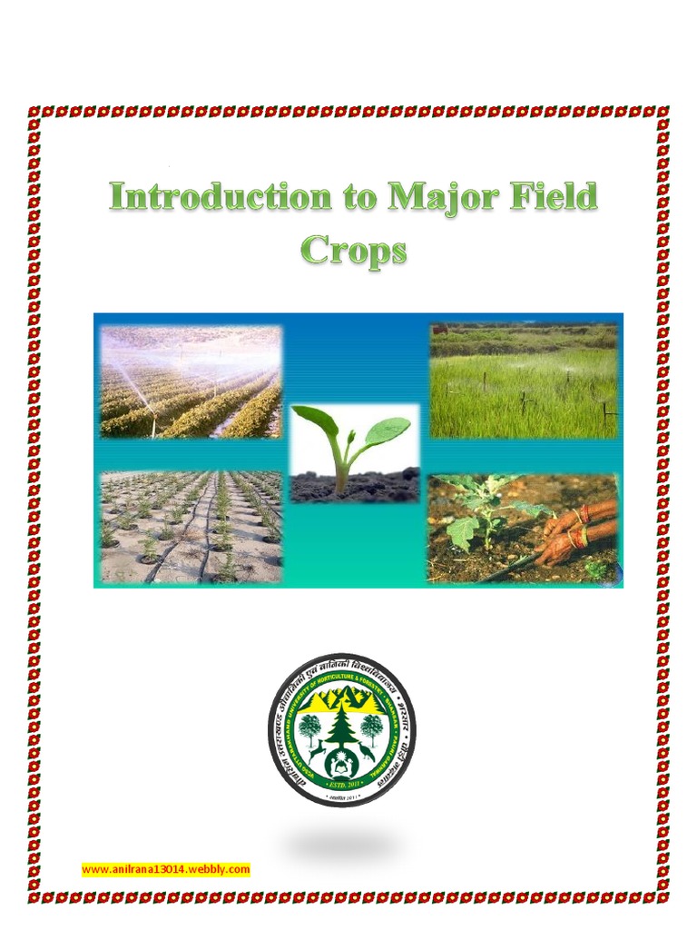 Introduction To Major Crop Fields | PDF | Crop Rotation | Agriculture