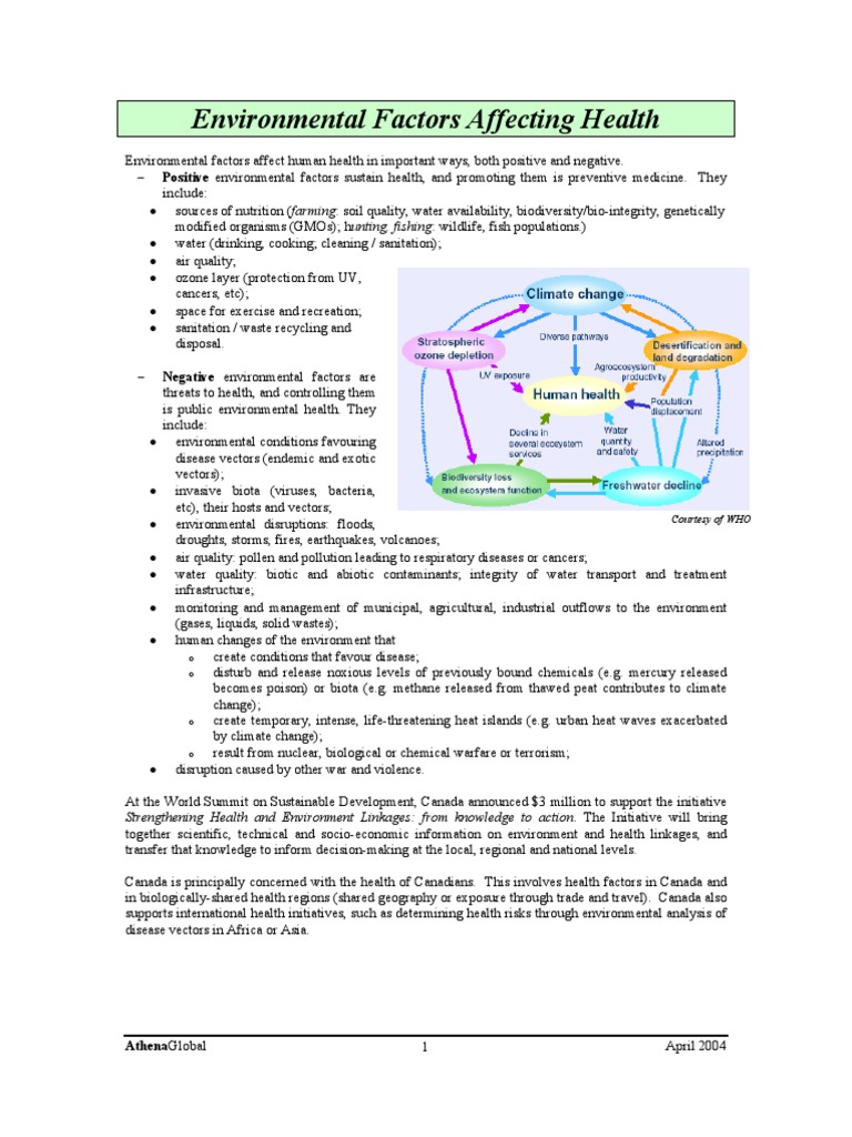 Environmental Factors Impacting Health | PDF | Sustainability | Risk