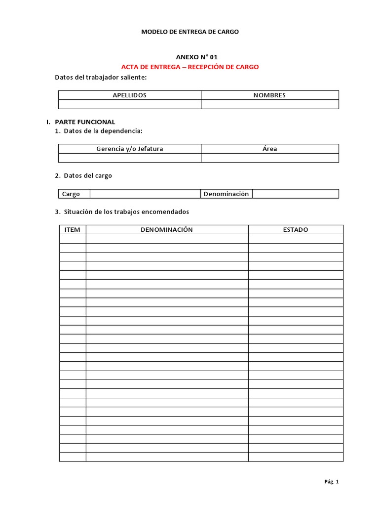 FORMATO ENTREGA DE CARGO