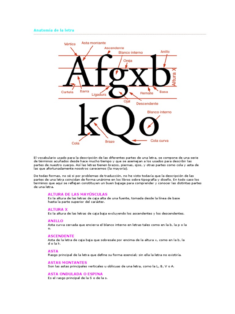 Anatomia de La Letra | PDF | Tipografía | Escritura
