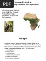 q1 Shs Ucsp Module 4 | PDF | Homo | Human