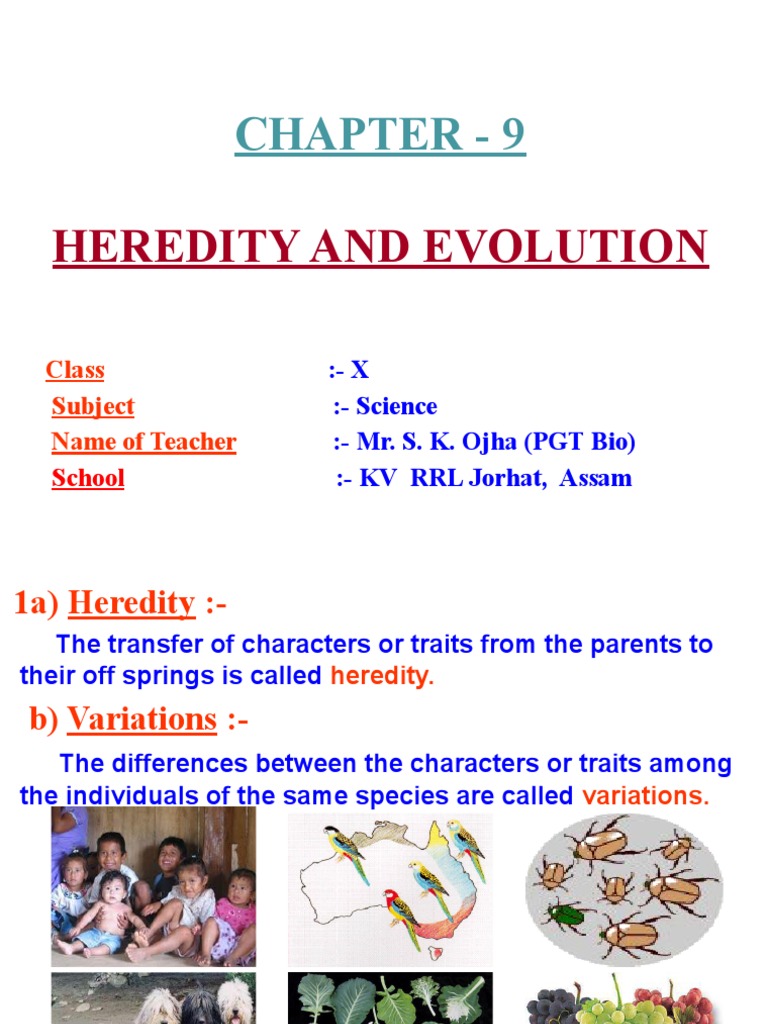 Heredity And Evolution Pdf Pdf Heredity Genetic Variation
