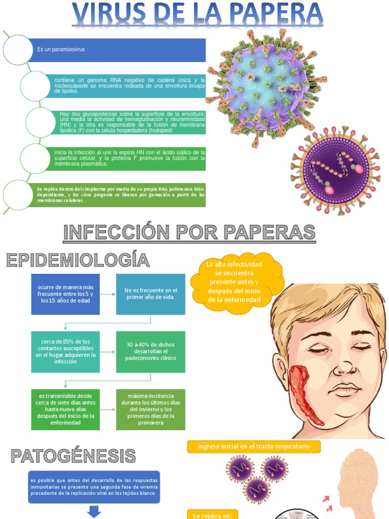 PAPERAS | PDF | Virus | Microbiología