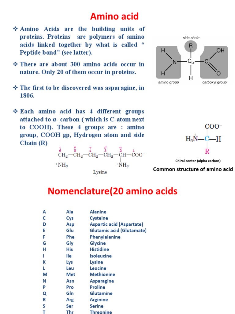 Amino Acid Structure | PDF | Amino Acid | Chromatography
