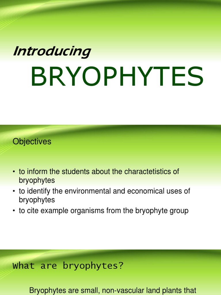 Understanding Bryophytes: Characteristics, Types, Uses, and Examples ... Understanding Bryophytes: Characteristics, Types, Uses, and Examples ...