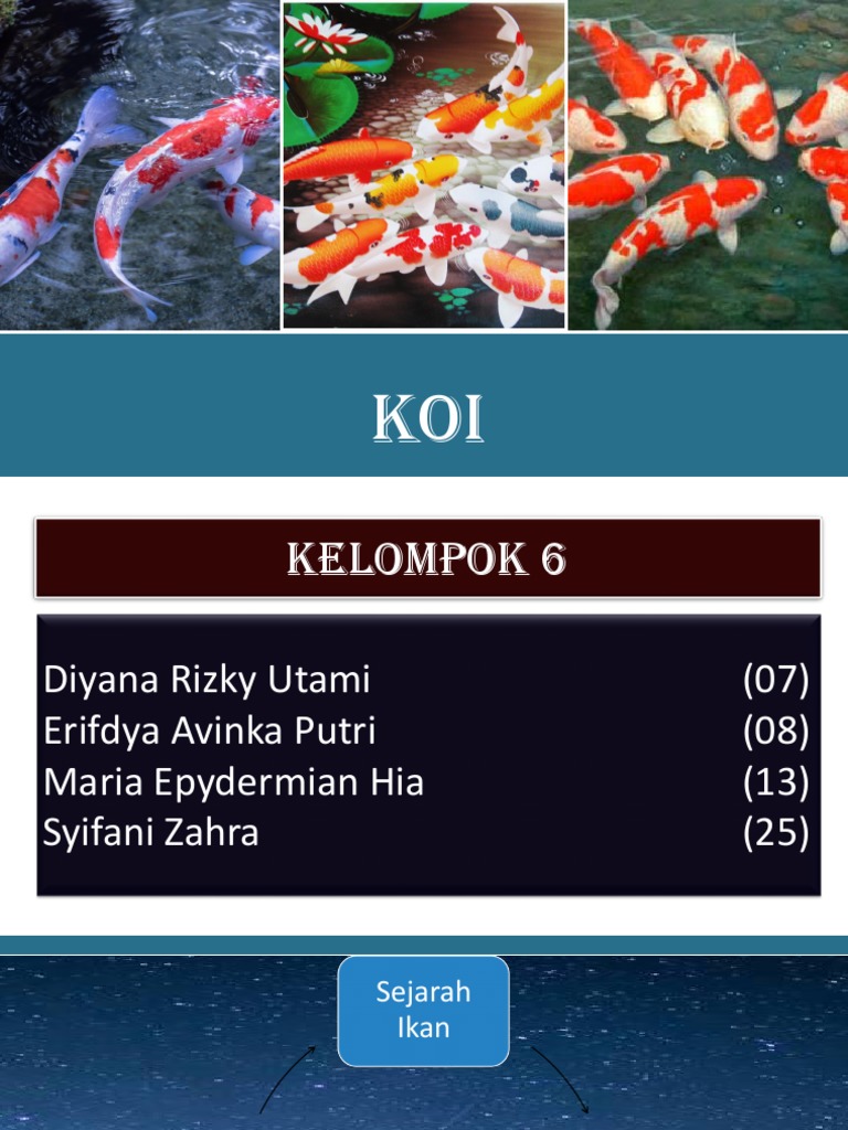 Sejarah dan Jenis Ikan Koi | PDF