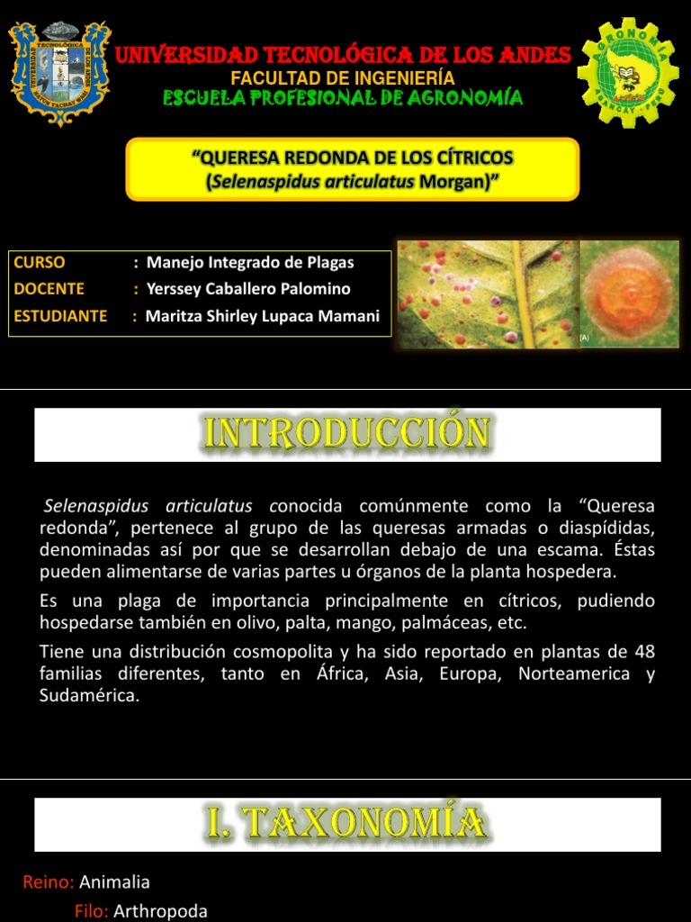 Queresas | PDF | Insecticida | Insectos