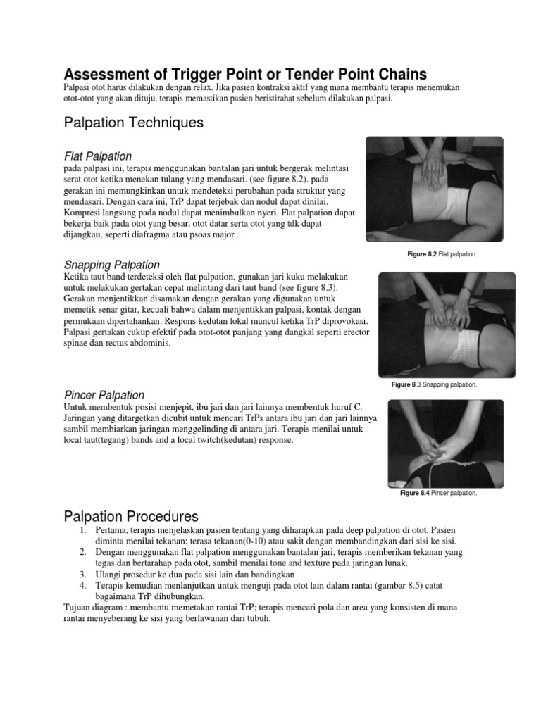 Assessment of Trigger Point or Tender Point Chains | PDF