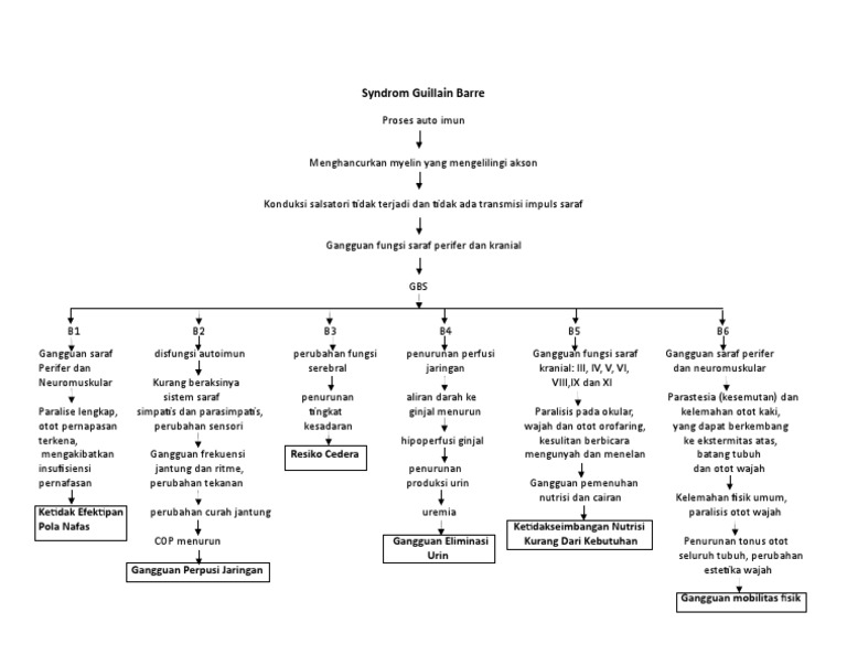 PATHWAY Syndrom Guillain Barre | PDF
