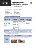 Sesion El Cuy | PDF | Aprendizaje | Maestros