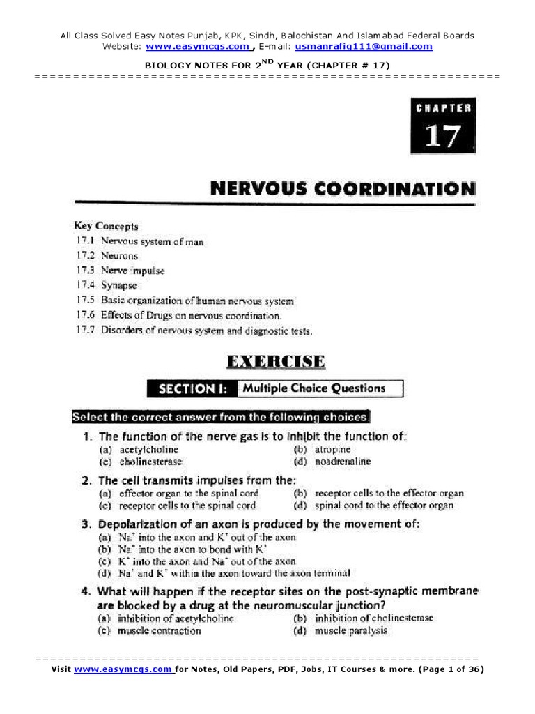 2nd Year Biology Chapter 17 Nervous Coordination Notes | PDF | Khyber ...