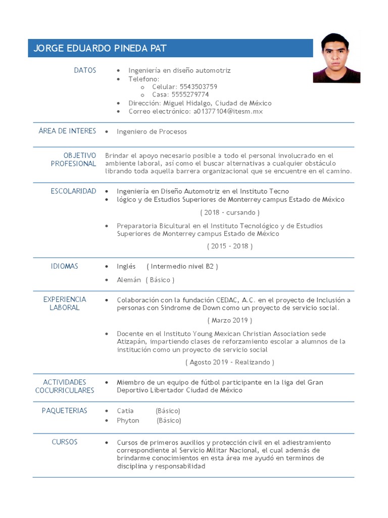 CV Jorge Eduardo Pineda Pat | PDF | Negocios | Arte