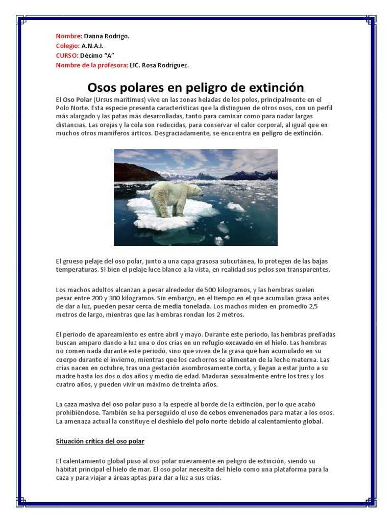 Osos Polares | PDF | Oso polar | Organismos