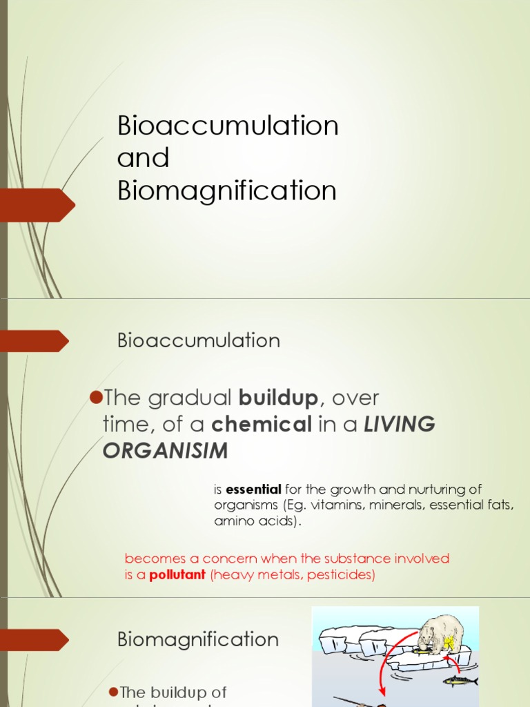 L4 Bioaccumulation and Biomagnification | PDF | Ddt | Chemical Substances