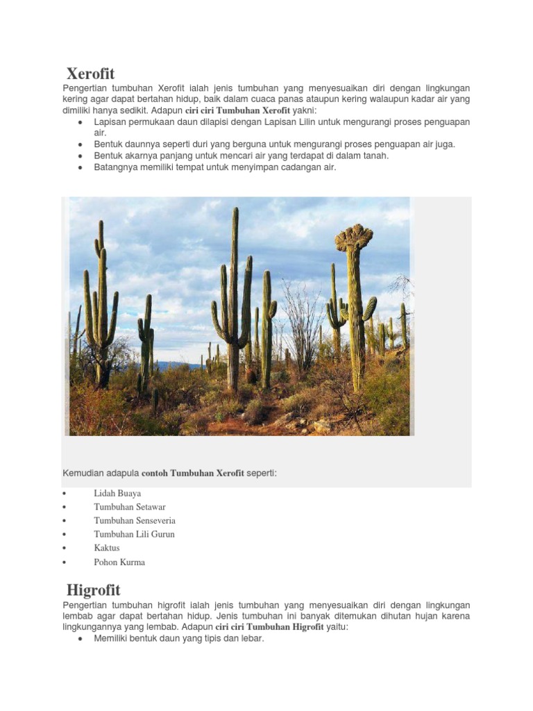 Xerofit Higrofit Dan Hidrofit | PDF