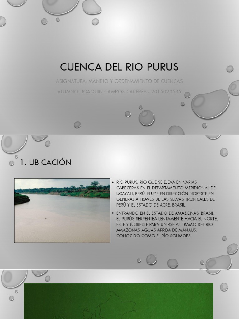 Cuenca Del Rio Purus | PDF | río Amazonas | Río
