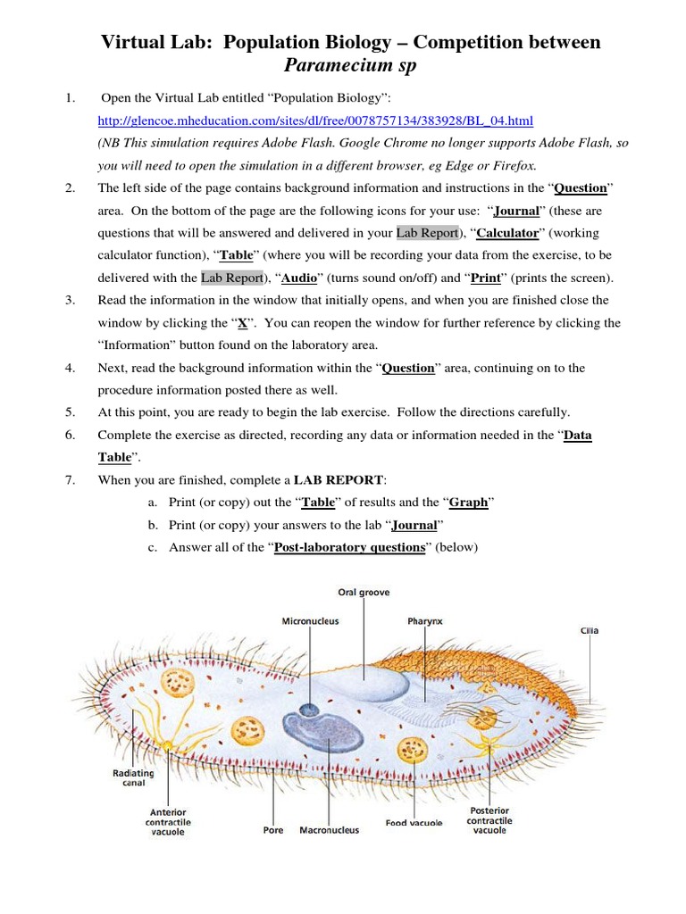 Paramecium Competition Virtual Lab Guide | PDF | Ecology | Ecological Niche
