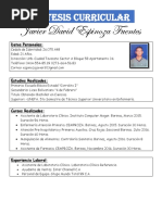 Curriculum Jonathan | PDF