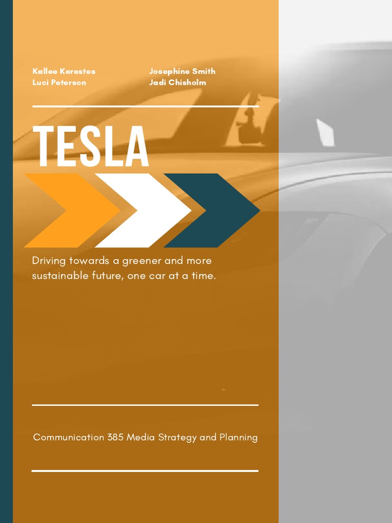 Tesla Case Study 1 | PDF | Electric Car | Target Audience