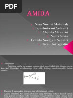 Makalah AMIDA - Kelompok 1 IPA B | PDF
