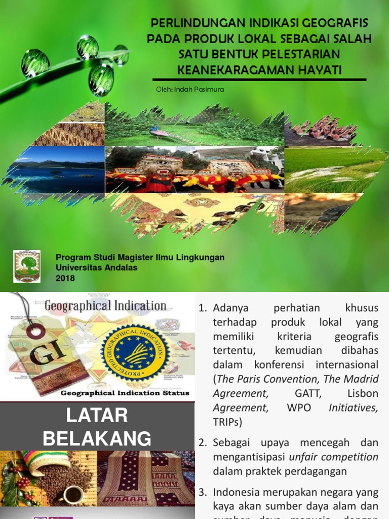 Indikasi Geografis | PDF