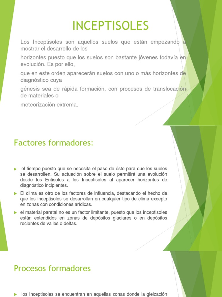 INCEPTISOLES Intro | PDF | Meteorización | Suelo