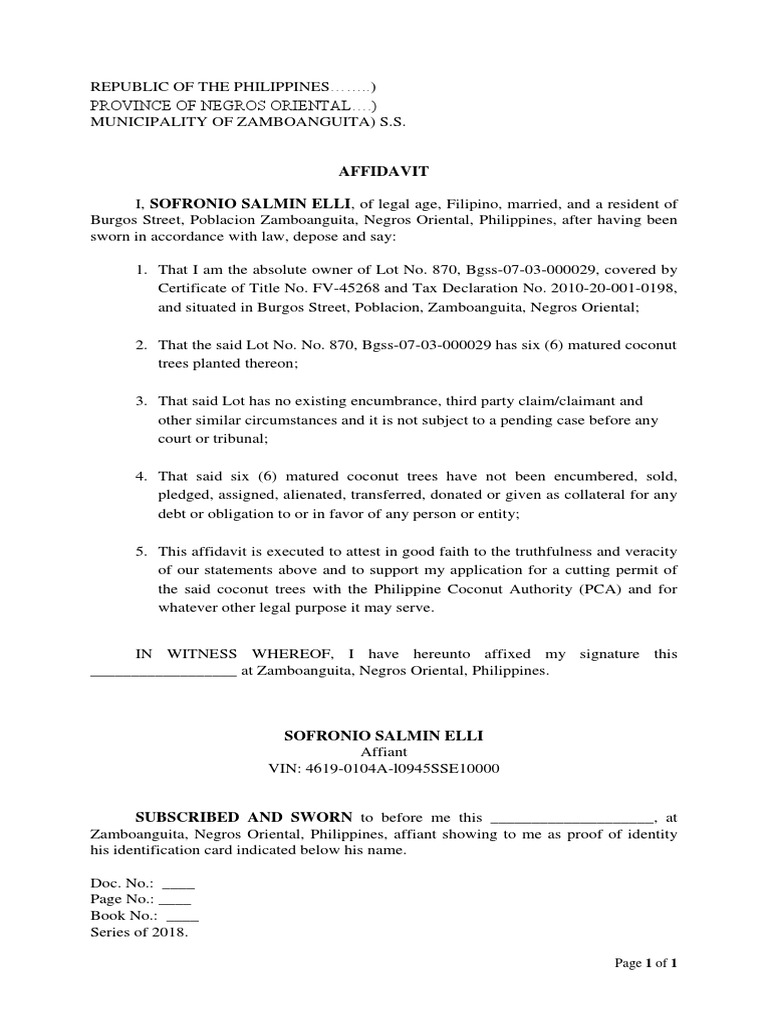 Affidavit (PCA) | PDF