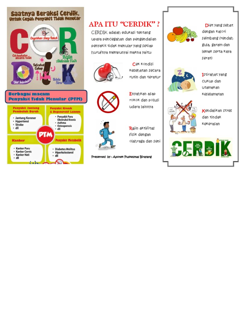 Leaflet Cerdik PKM Birayang Fixxxx | PDF