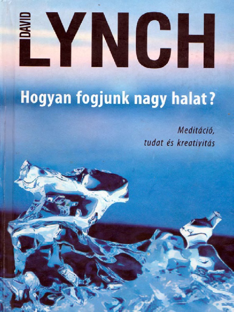 David Lynch - Hogyan Fogjunk Nagy Halat | PDF