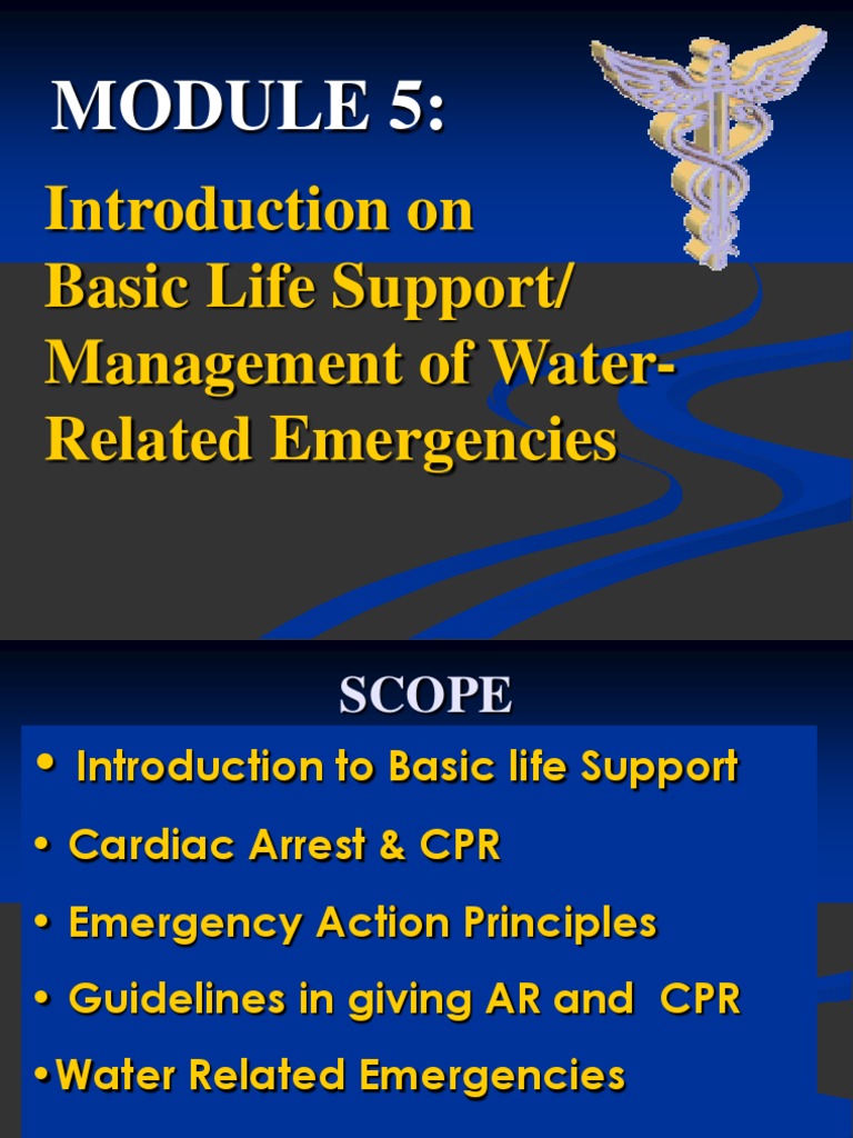 Basic Life Support | PDF | Cardiopulmonary Resuscitation | Cardiac Arrest
