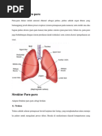 Segmen Pada Lobus Paru Paru Dan Fungsi Masing | PDF