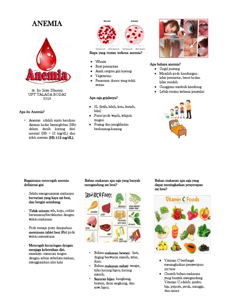 Leaflet Anemia | PDF