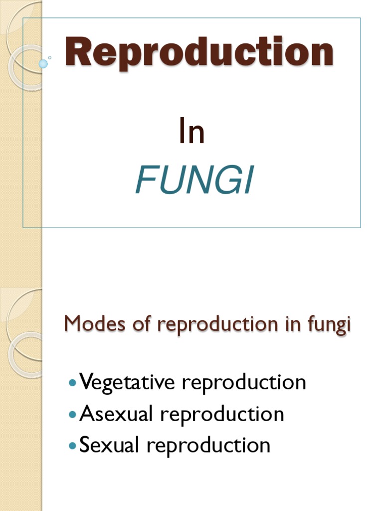 Fungal Reproduction: Asexual and Sexual | PDF | Spore | Fungus