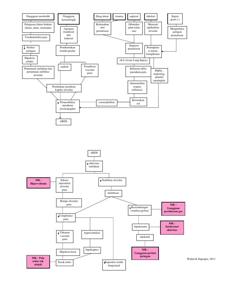 Woc Ards | PDF | Respiratory Diseases | Respiratory System