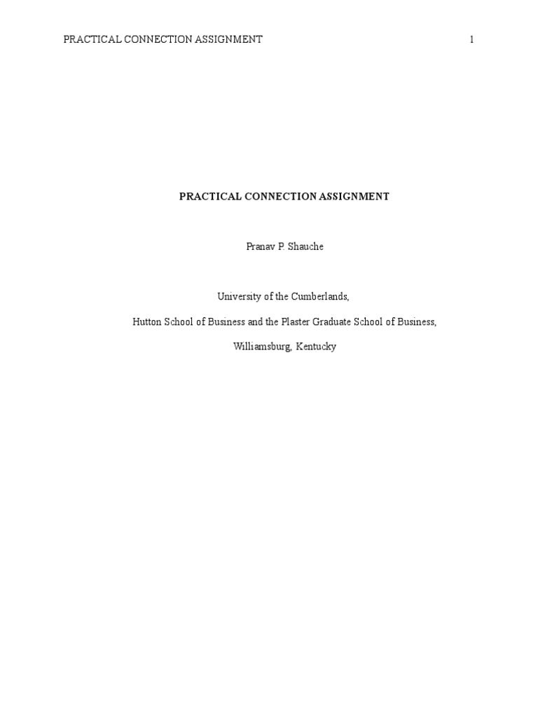 Practical Connection Assignment | PDF | Project Management | Architect
