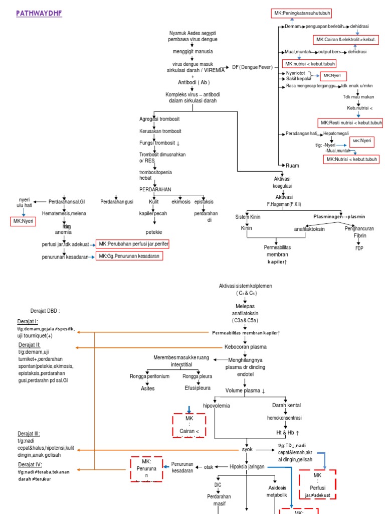Pathway DHF Dan KDM | PDF