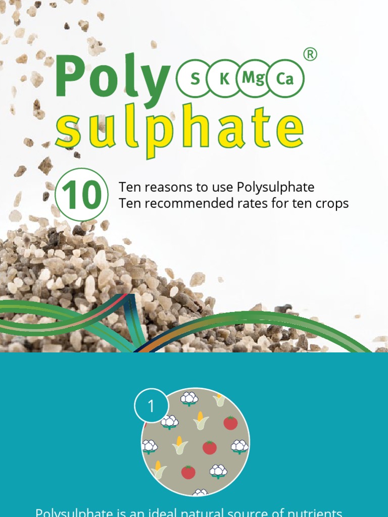 Polysulphate 10 Reasons en | PDF | Fertilizer | Soil