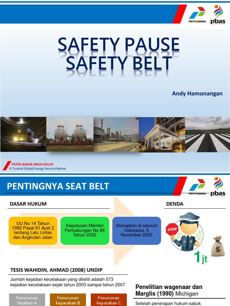 Safety Pause Safety Belt | PDF