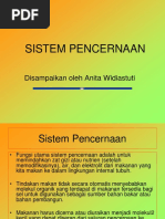 Proses Ingesti dan Digesti Makanan | PDF
