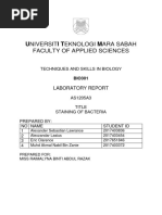 Microbiology Gram Stain Lab Report | PDF | Staining | Histopathology