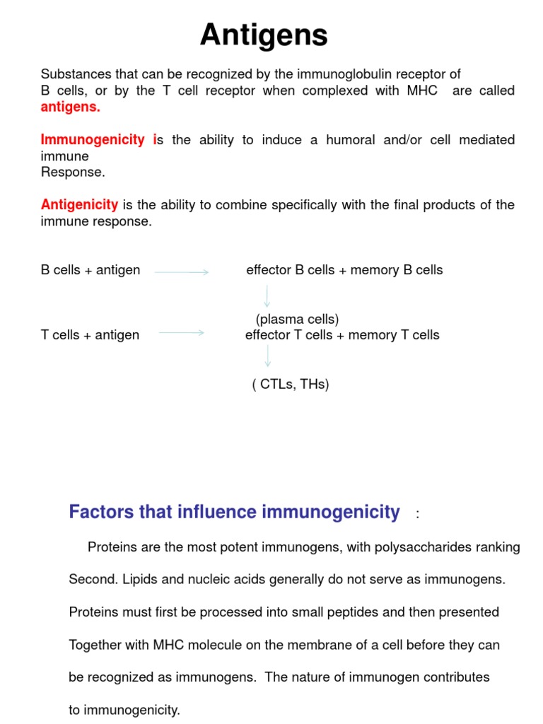 Understanding the Key Concepts of Antigens, Immunogenicity ...