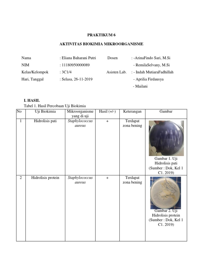 Uji Biokimia Mikroorganisme: Staphylococcus aureus dan Salmonella ...