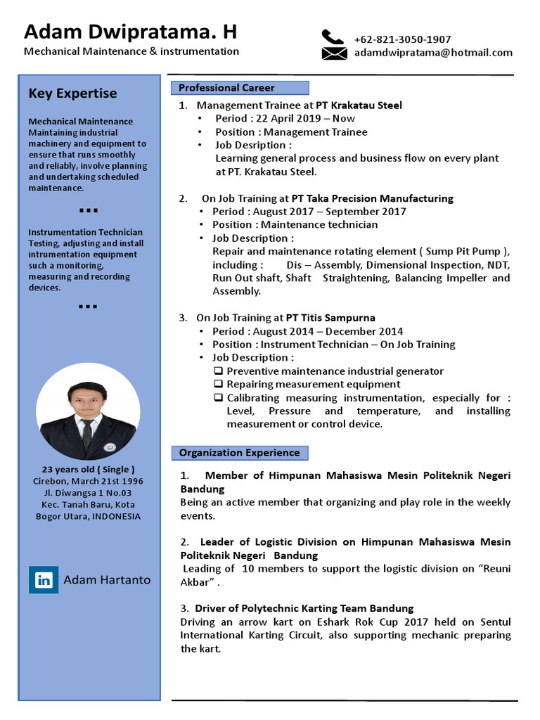 CV Adam | PDF | Instrumentation | Machines