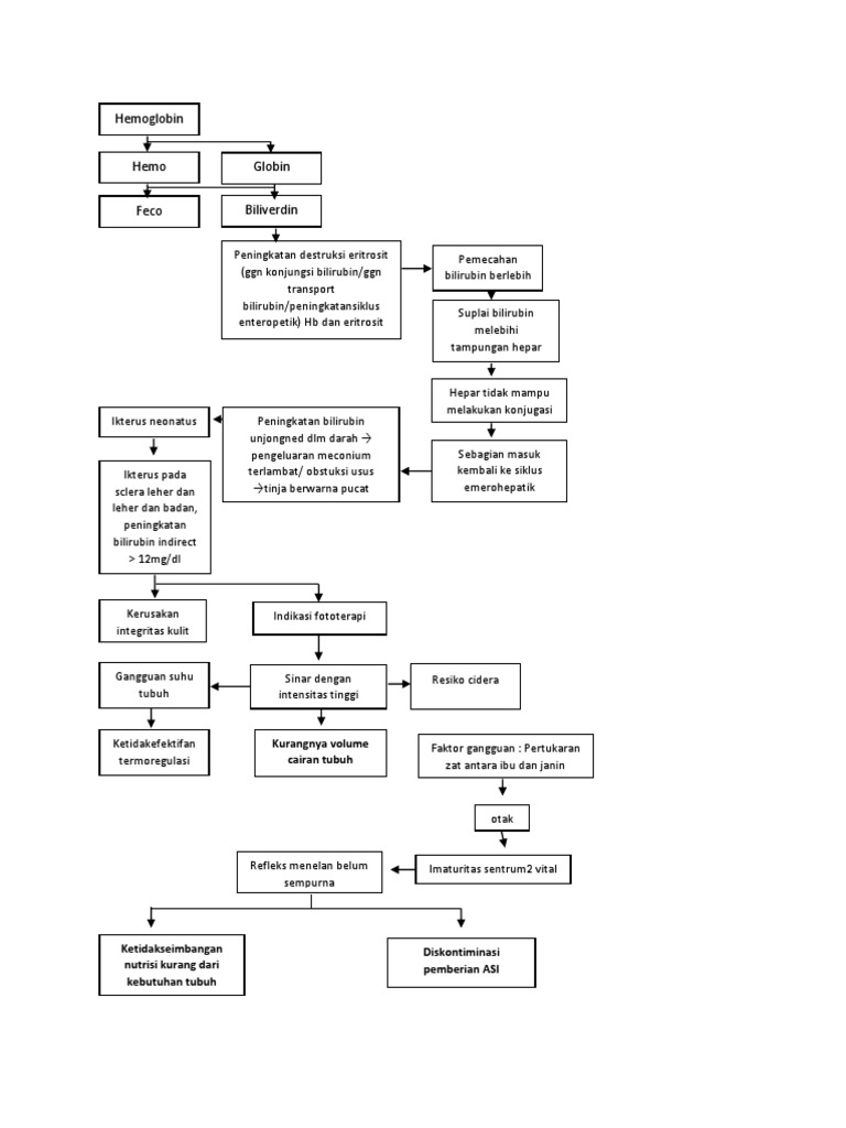 Pathway Ikterus | PDF