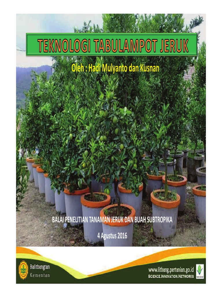 Tabulampot | PDF