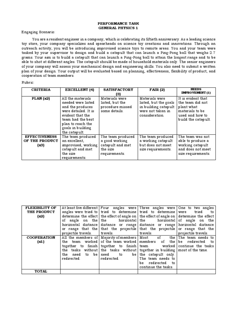 Performance Task | PDF | Engineering | Cognition