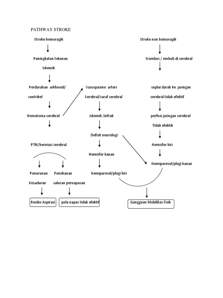 Pathway Stroke | PDF