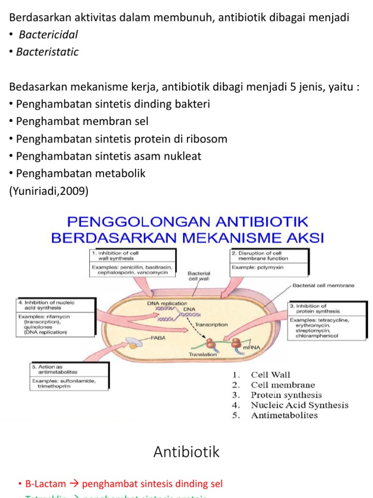 5 Mekanisme Kerja Antibiotik | PDF | Kesehatan Holistik | Sains & Matematika