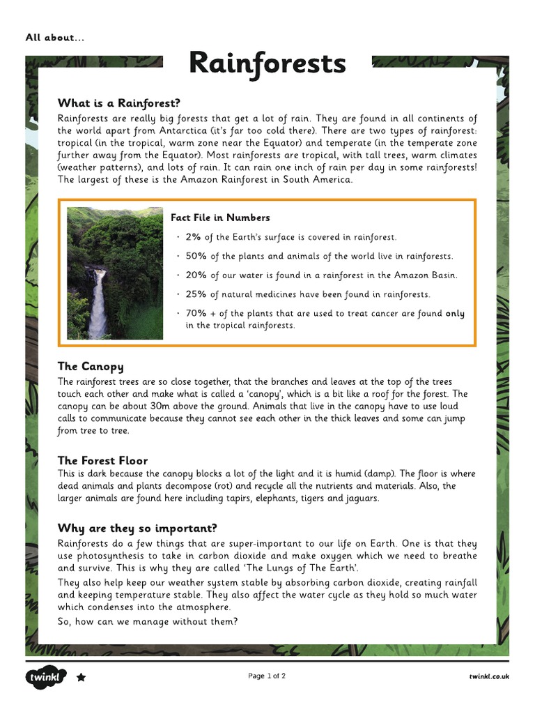 t2 e 2197 Y5 Rainforests Differentiated Reading Comprehension Activity ...