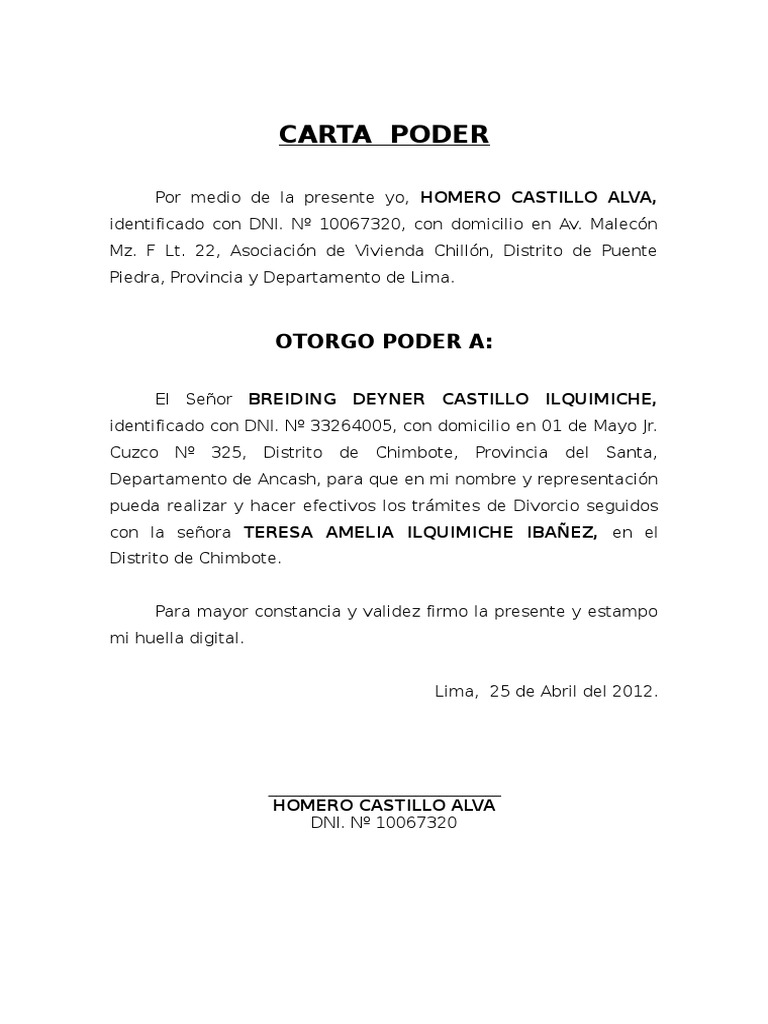 Carta Poder Divorcio | PDF